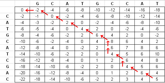AnyThing Tutorials: Bioinformatics: Needleman-Wunch Algorithm with Example