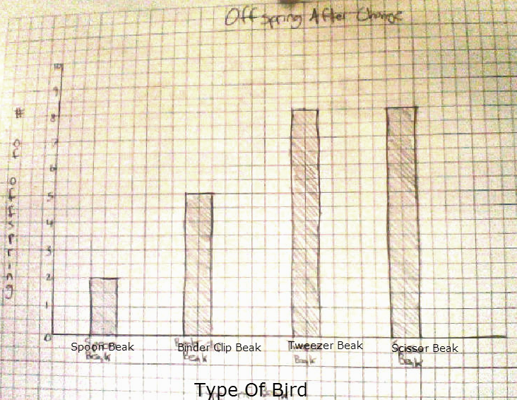 Mark Masulis Biology Blog: Bird Beak Lab Conclusion