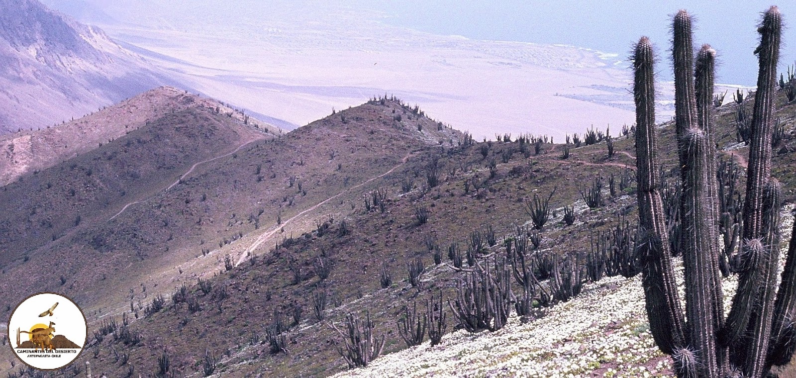 Caminantes del Desierto: LA CHIMBA EN SUS INICIOS