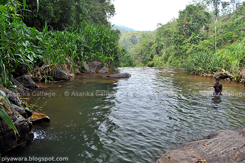 piyawara: Kumari Falls (Kumari Ella)