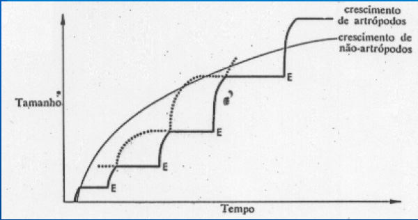 Biolândia: ARTRÓPODES