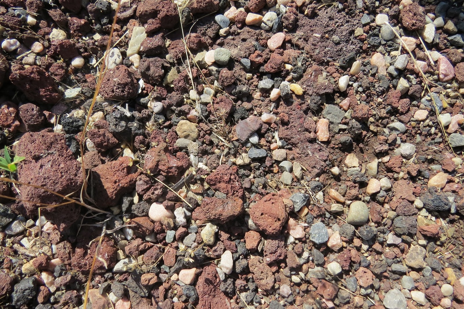 Readerbuzz: Hunting for Garnets, Ruby Reservoir, Montana