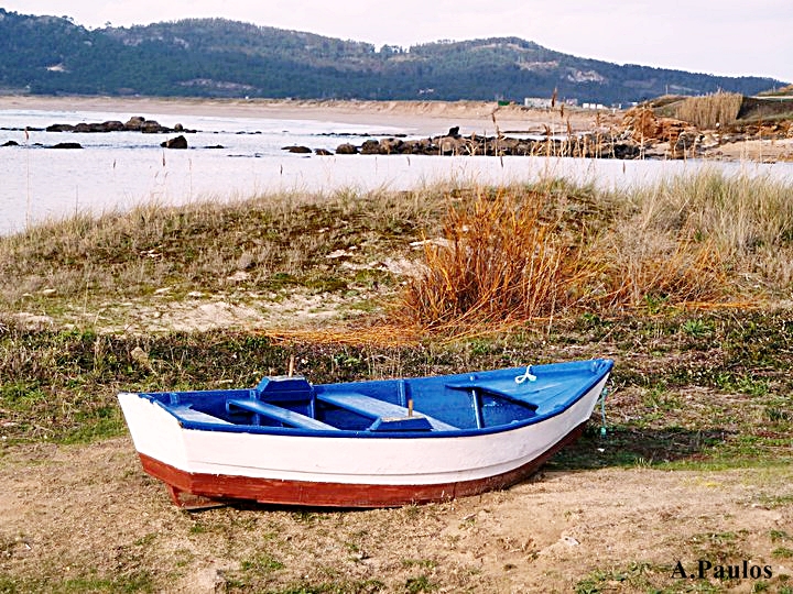 Fotos da miña terra