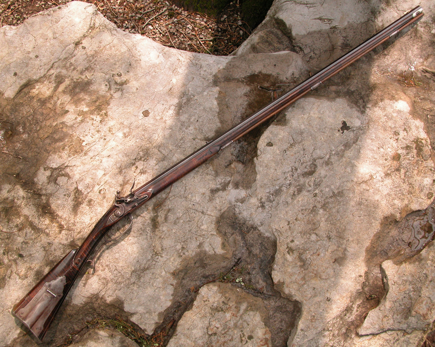 The Armed Republic of Appalachia; Military Overview