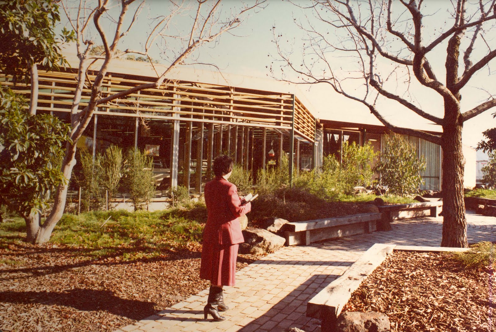 Telling Tales: #blogjune Balwyn Library