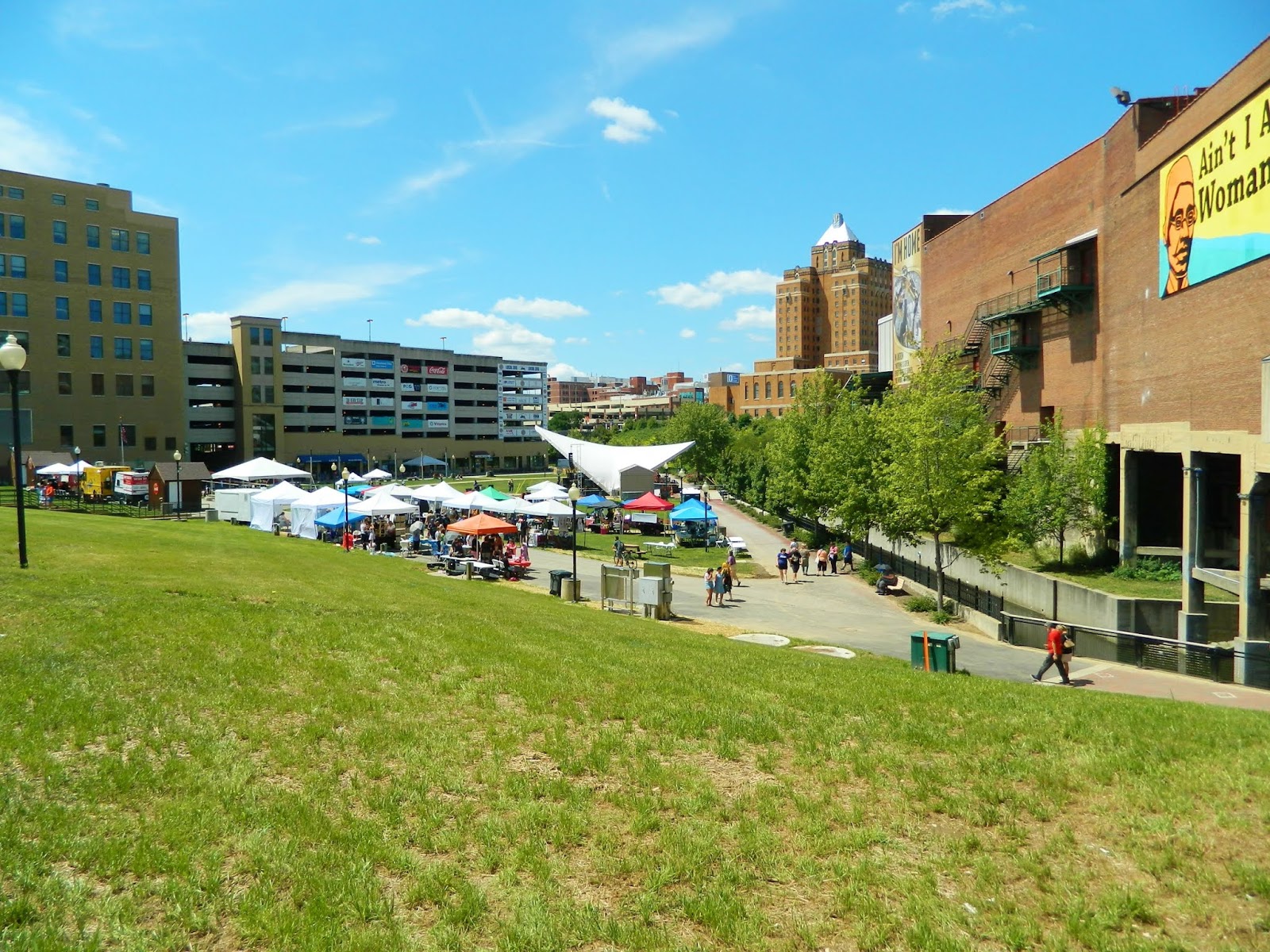 Signal Tree Fest - Akron, Ohio | Ohio Festivals