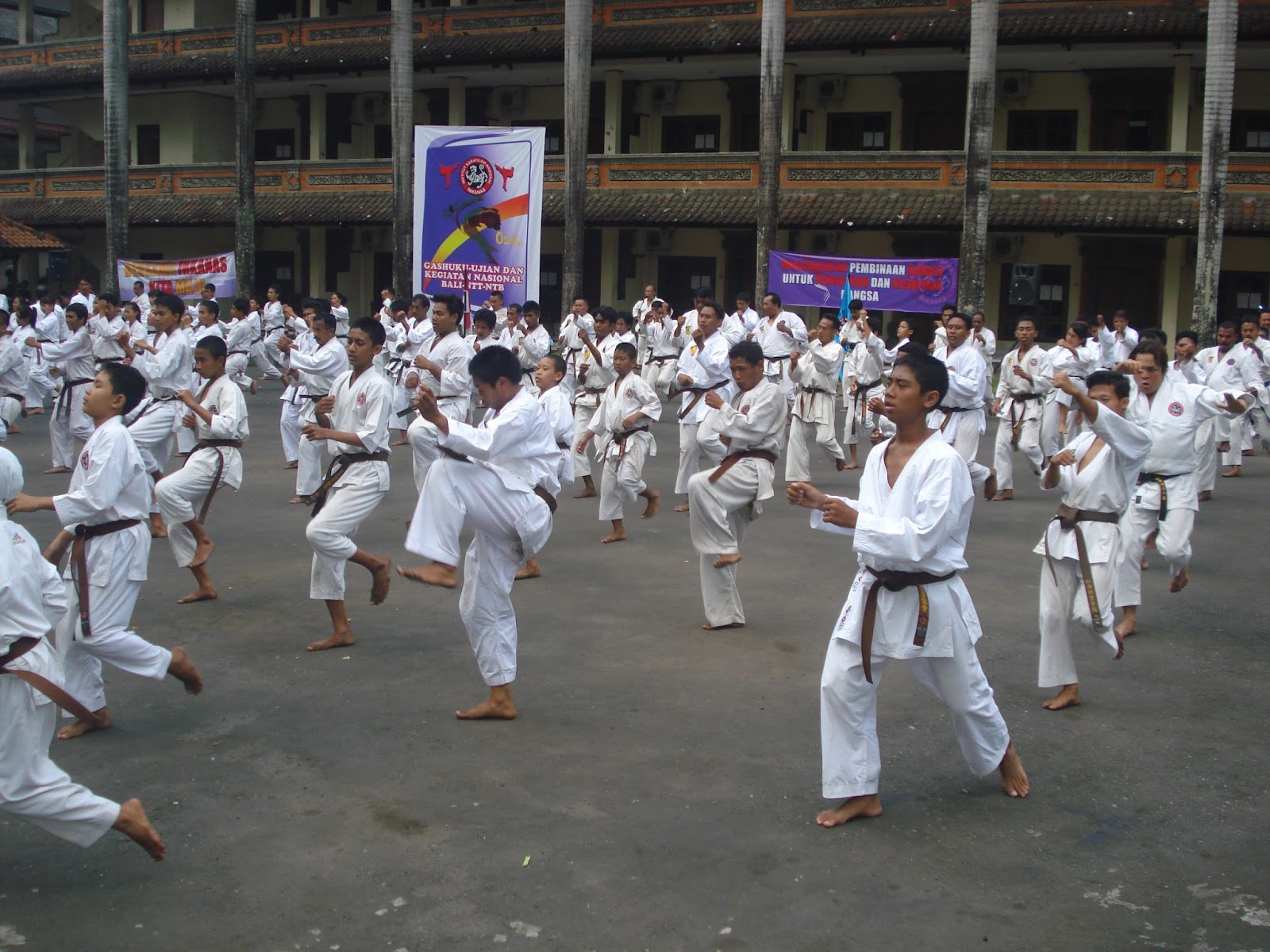 INKANAS SUMBAWA Collection ~ Tizar Inkanas