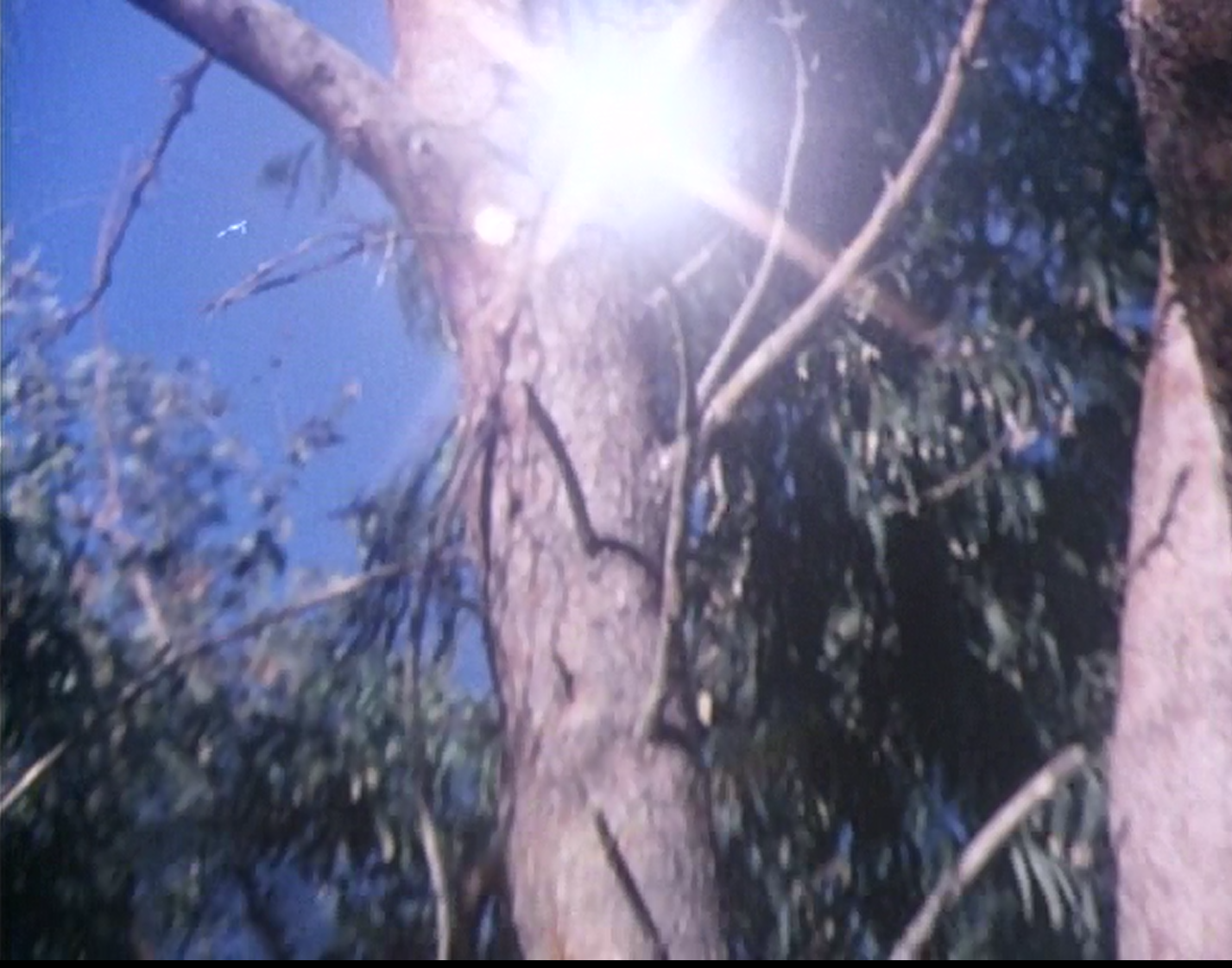 John Kenneth Muir's Reflections on Cult Movies and Classic TV: Cult-TV ...