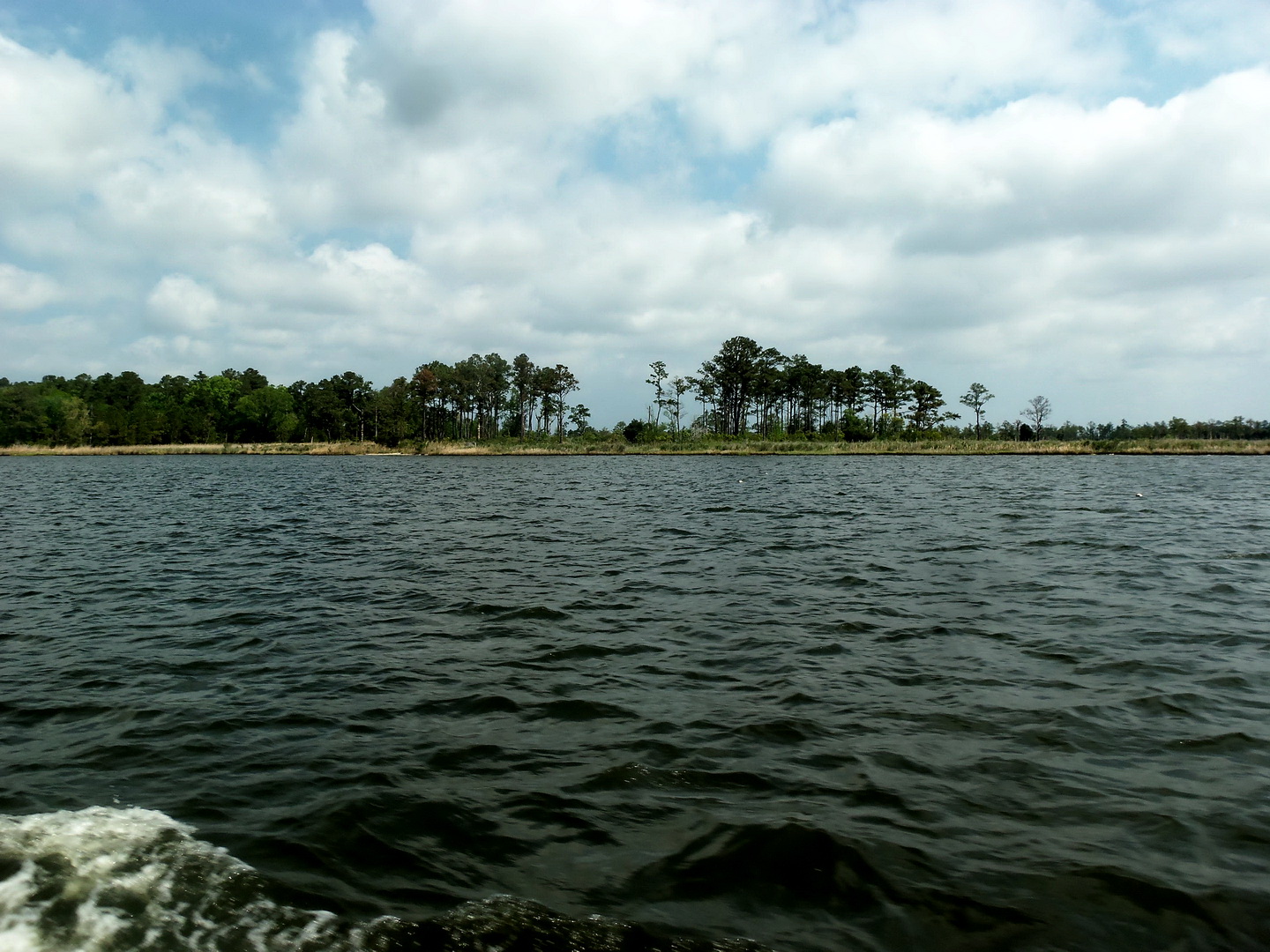 Tony M Trawler: The Tar Heel State