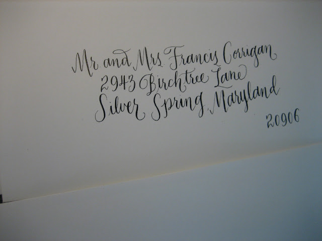 Navy Bean: Calligraphy