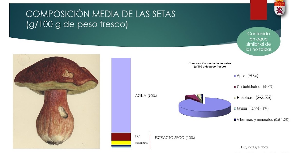 PROPIEDADES NUTRICIONALES Y FUNCIONALES DE LAS SETAS: COMPOSICIÓN QUÍMICA Y VALOR NUTRITIVO DE ...