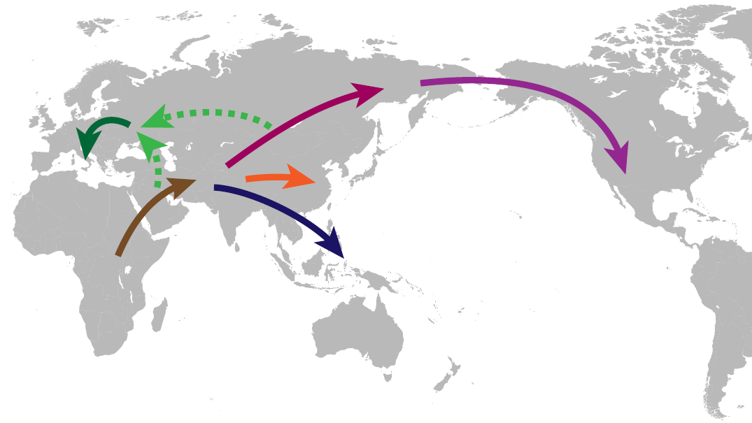 Mediterranean Race Map