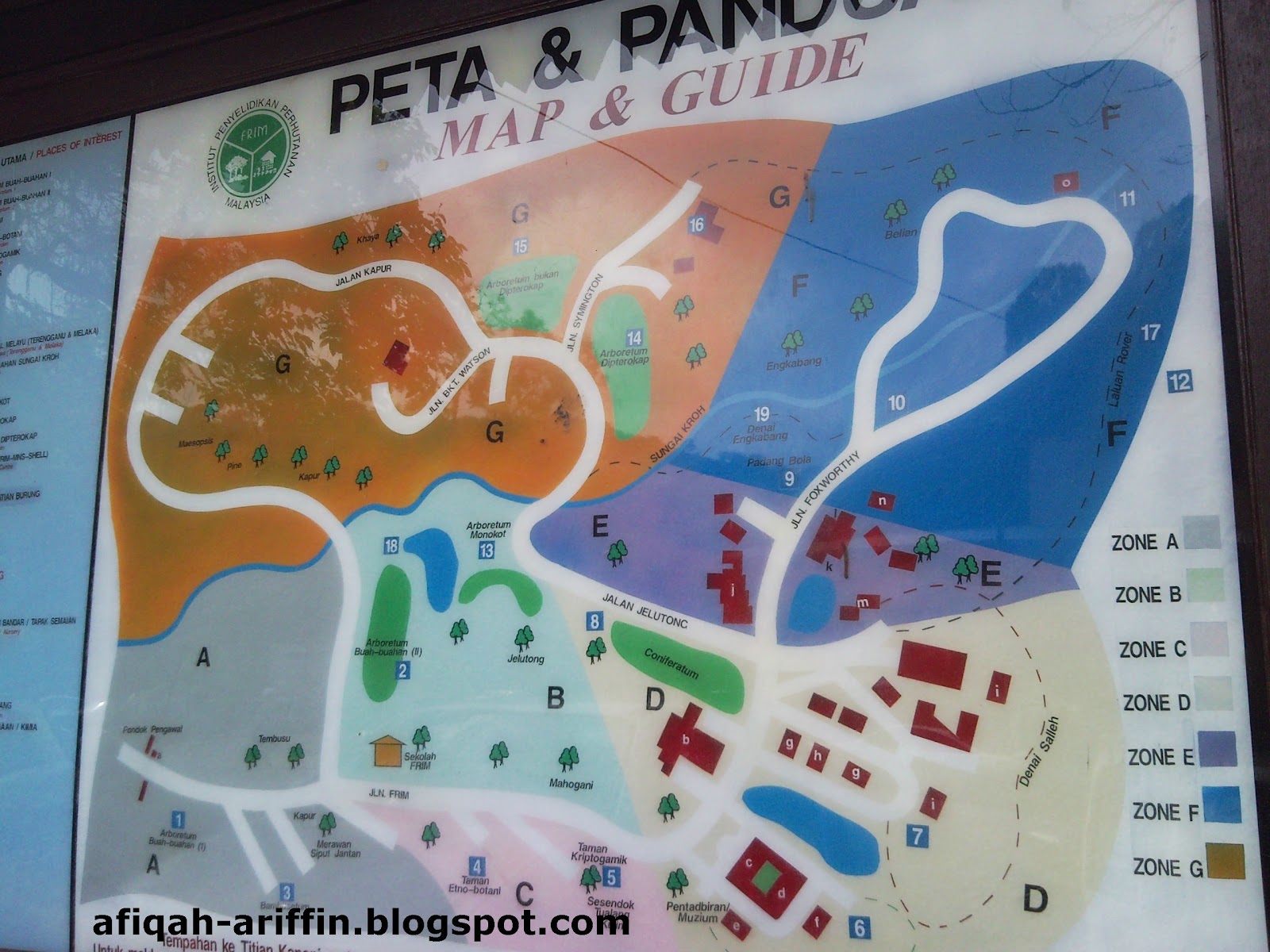 Afiqah's Journey: FRIM Kepong