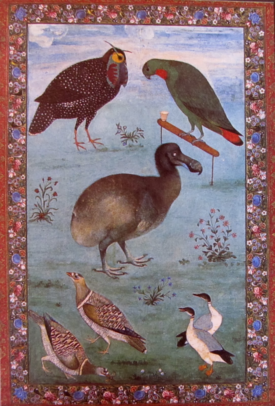 Stephen Bodio's Querencia: Pigeons