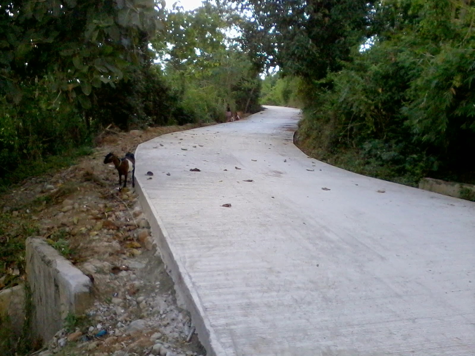 Sustainable Development: Cemented Barangay Road, Near the Farm