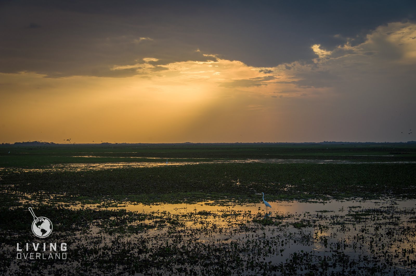 Traversing the Great Plains of Venezuela: Los Llanos