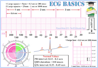 ECG Educator Blog : Basic Electrophysiology