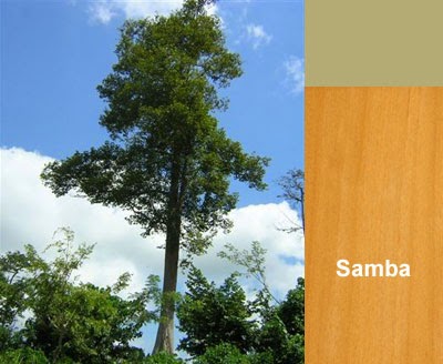 Forever Young - The Life and Times of the Young Family from SC: They ...