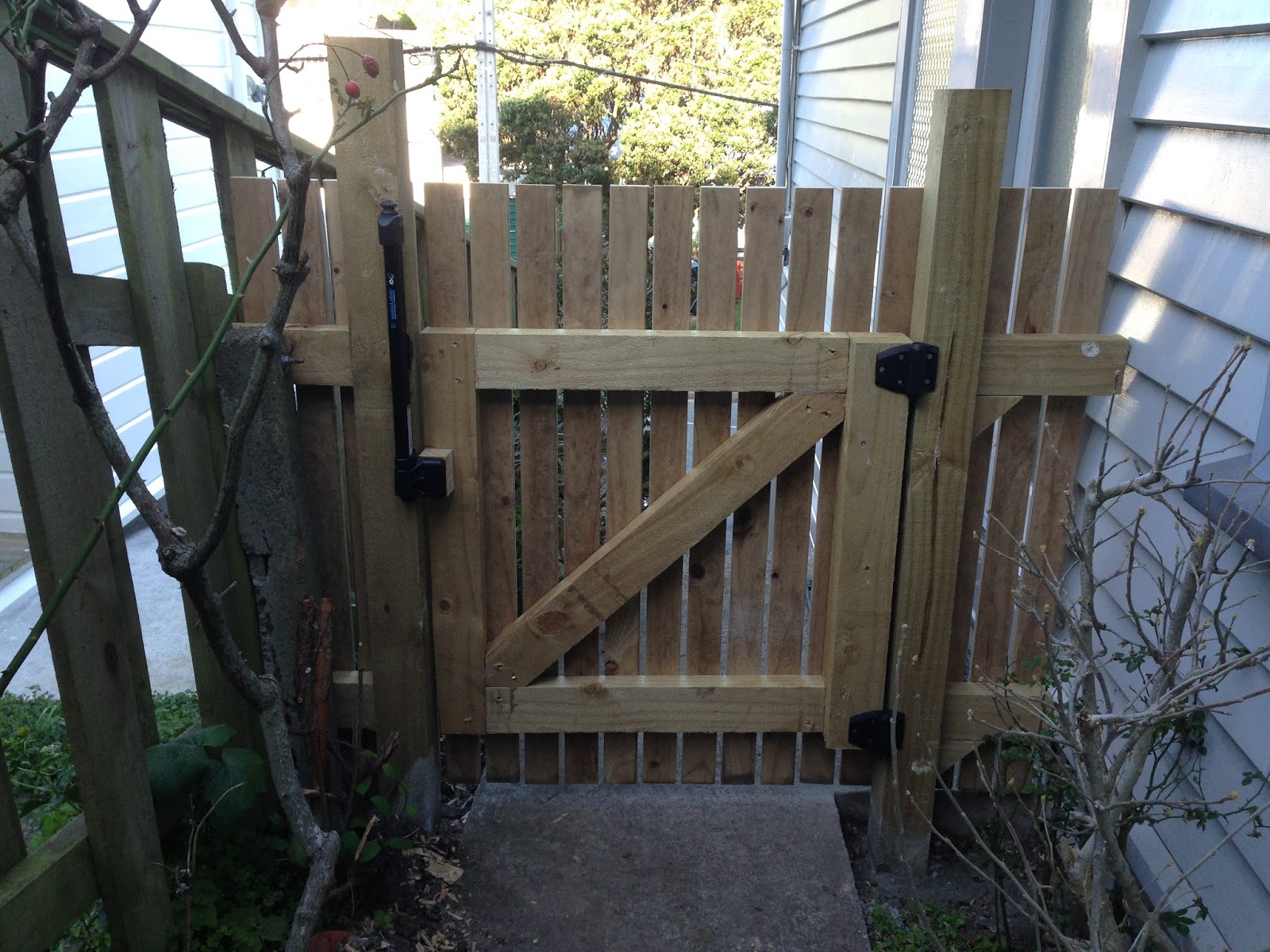 Mrs Cake: DIY - a finished side gate