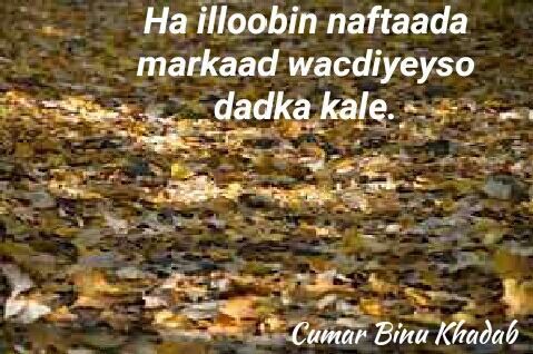 Murti iyo xikmado xeeldheer - Weedhside