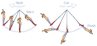 Physics 111: Fundamental Physics I: The Physics of a Trapeze