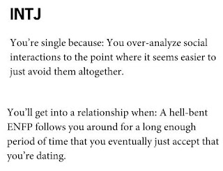 The Blog of Bryan C. Laesch: Are INTJs and ENFPs Truly Soulmates?