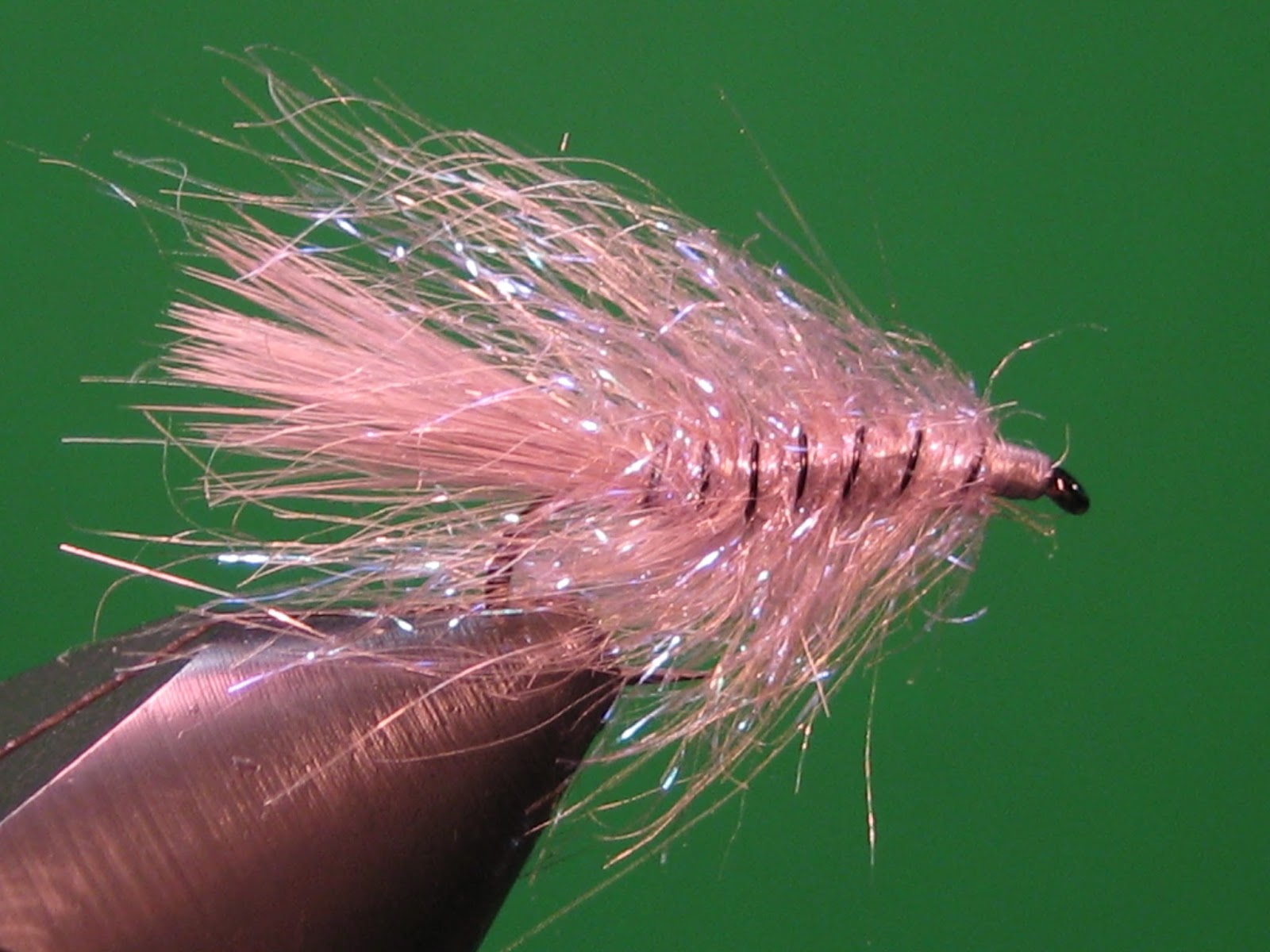 My Trout Fly: Brook trout fry