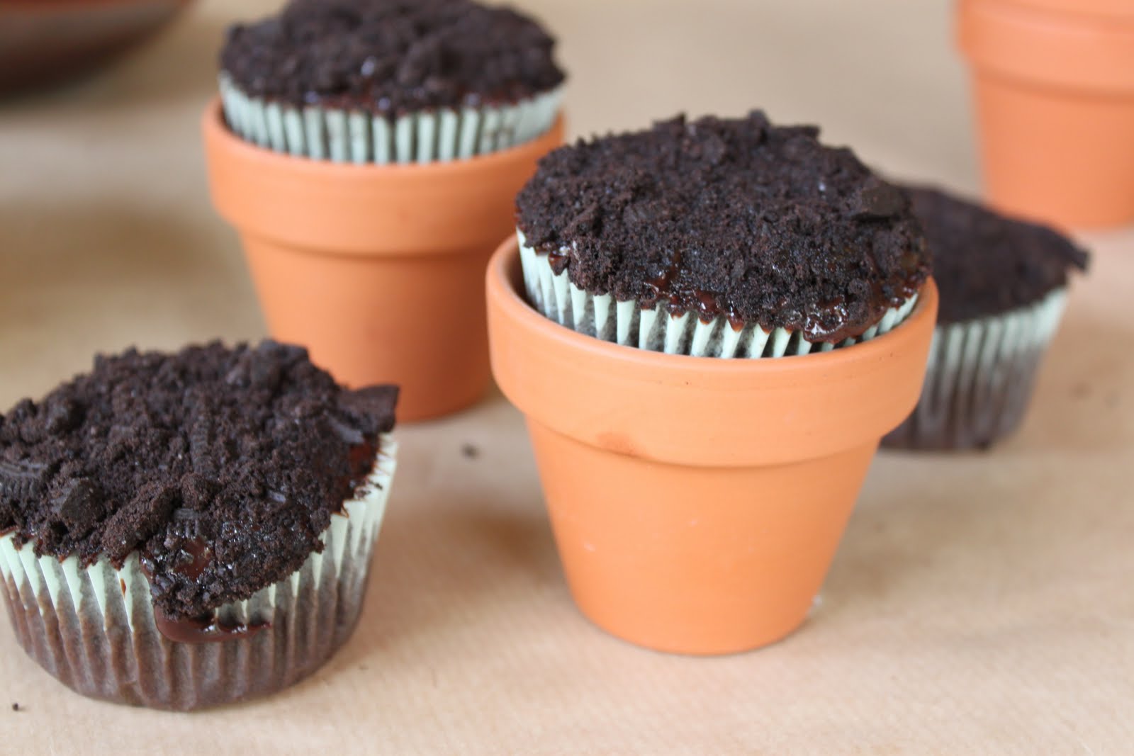 Crave. Indulge. Satisfy.: Cupcakes + Cookies = Flower Pots