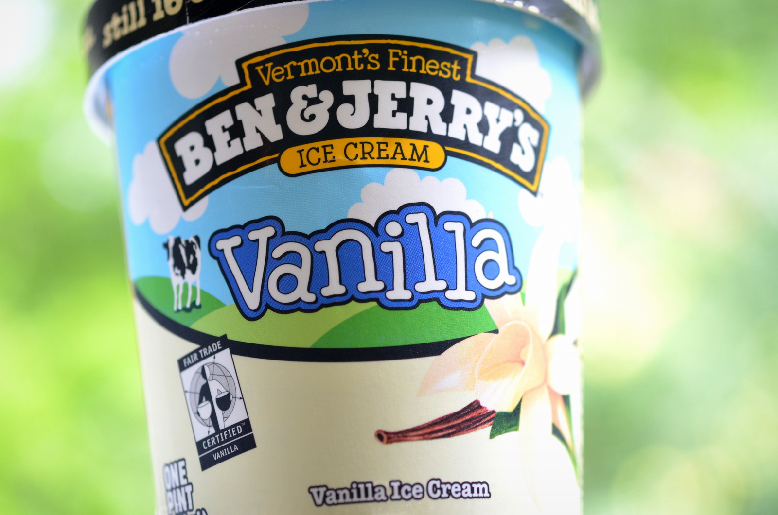 food and ice cream recipes: REVIEW: Ben & Jerry's Vanilla