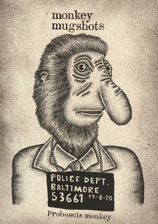 Illustration Works | James McCullen: Monkey Mugshots- Proboscis Monkey