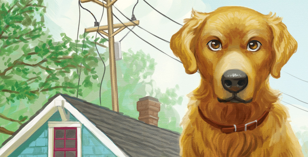 Kelley McMorris illustration: Ranger in Time: Hurricane Katrina Rescue