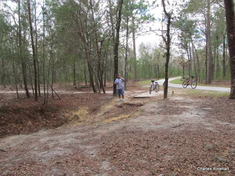 The Cross Florida Greenway In Ocala Florida: The Baseline Road ...