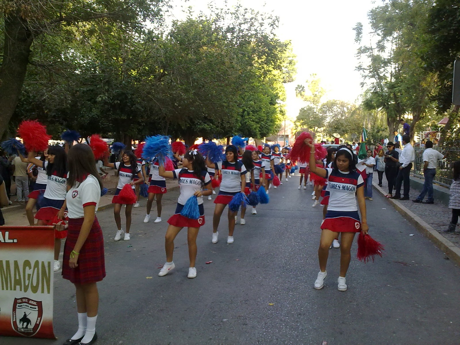 perifloma: DESFILE 20 DE NOVIEMBRE 2012