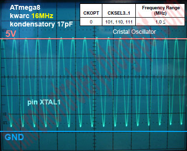 Mikrokontrolery Jak zacząć? Zbiór najczęściej udzielanych porad