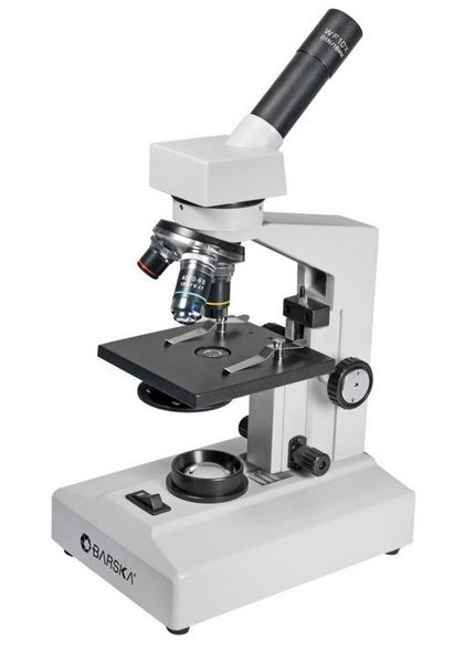 Mikroskop: Jenis, Bagian dan Fungsi serta Cara Menggunakannya | BIOLOGIJK