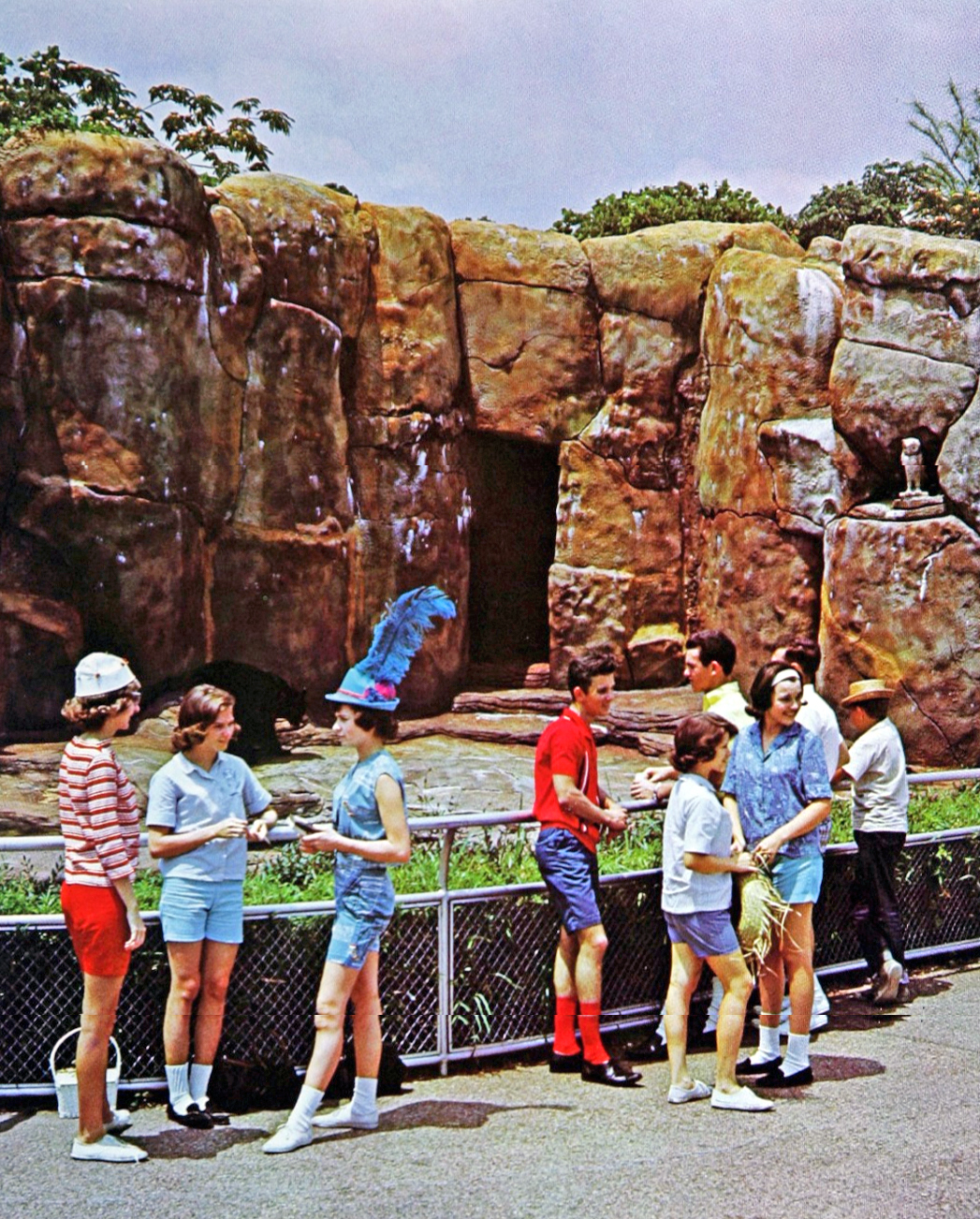 South Belt Houston Digital History Archive: Houston Area Yearbook ...