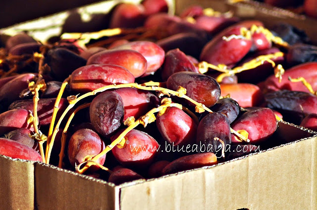 Visit Riyadh's Date Souk - Blue Abaya