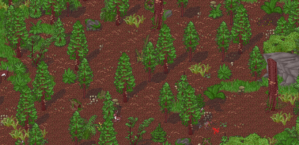 Shadow Fern: Climate & Terrain