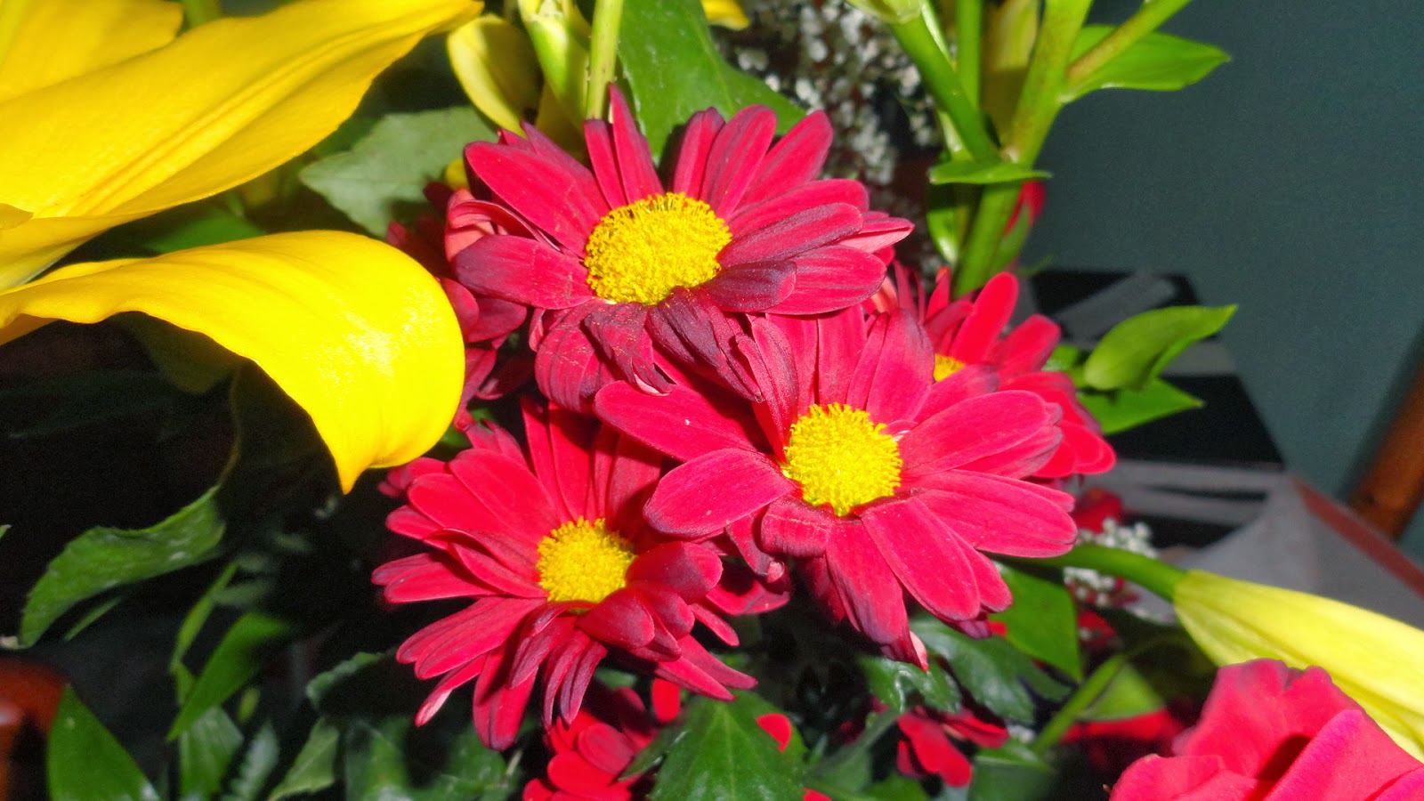 Flortografía: Las flores del mes de febrero