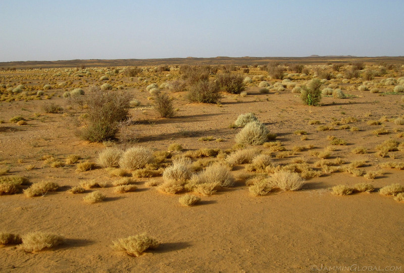 Caveman English: Images for A Long Walk to Water