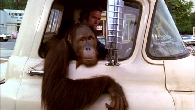 Shameless Pile of Stuff: Movie Review: Every Which Way But Loose