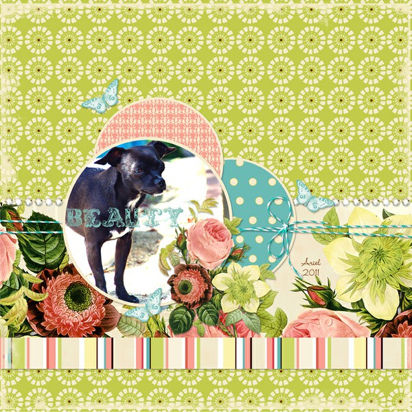 {.Bendito Scrap.}: Significado das Cores e o Scrap!