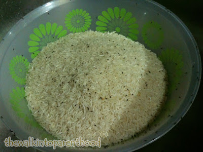 the walk into parenthood: Rice mites