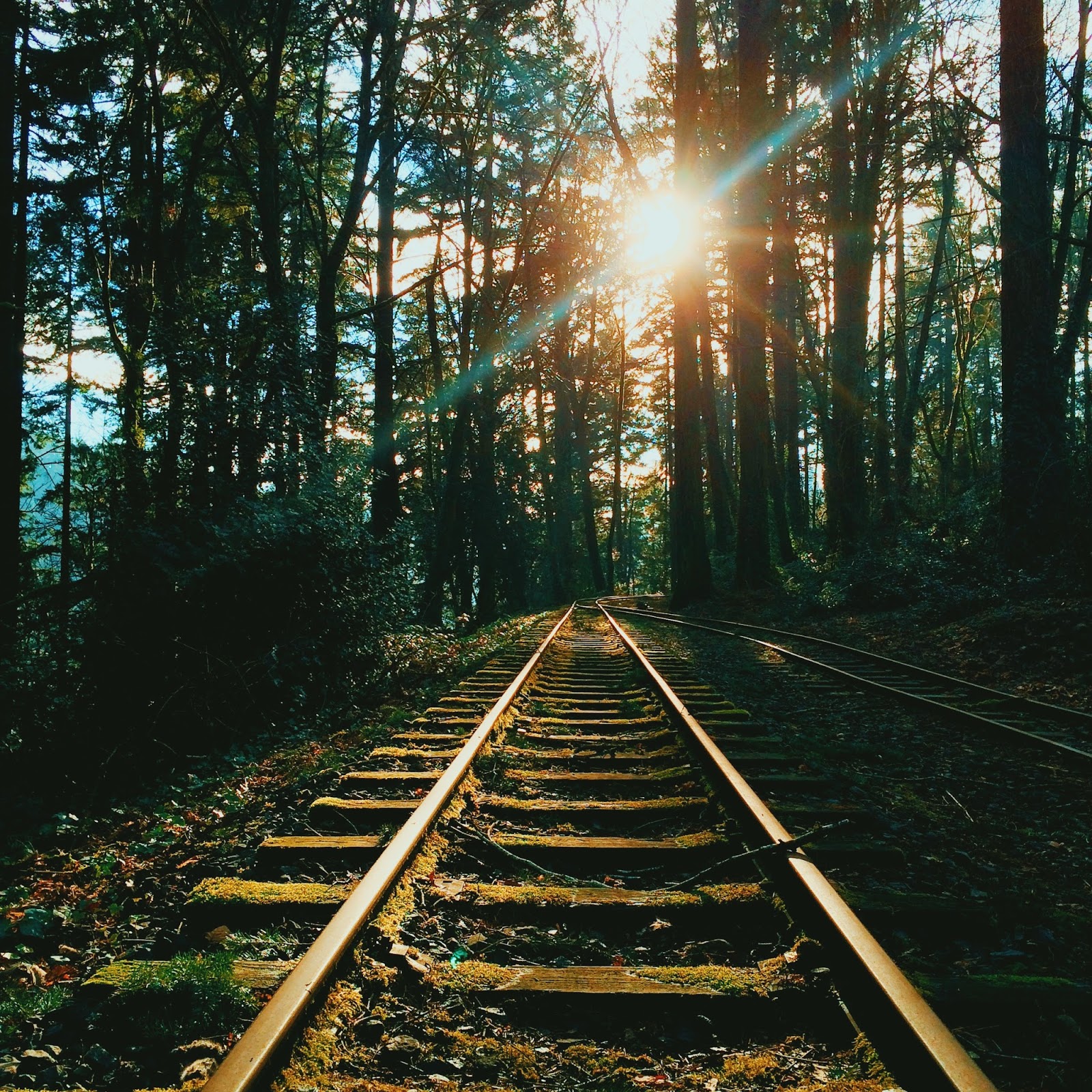 Emily Wright's Photography Blog