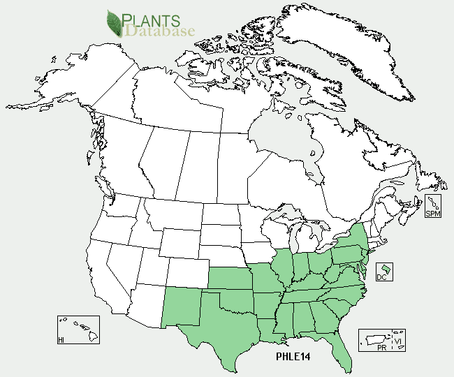 Brantley Snipes Landscape + Design: Mistletoe