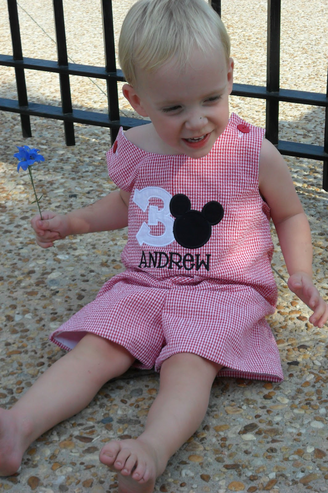 Mother of a Toddler and Triplets Plus ONE: Happy 3rd Birthday to My ...