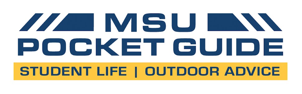 MSU Pocket Guide: Dorm-Room Décor