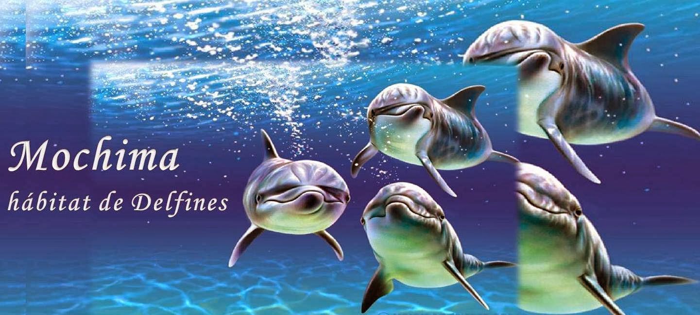 RUTA LOS DELFINES