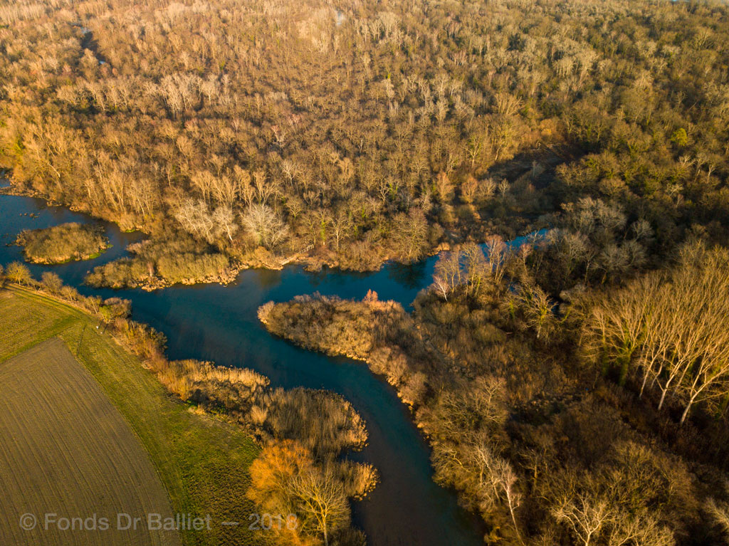Mémento sur les redoutes installées le long du Rhin aux 17e et 18e ...