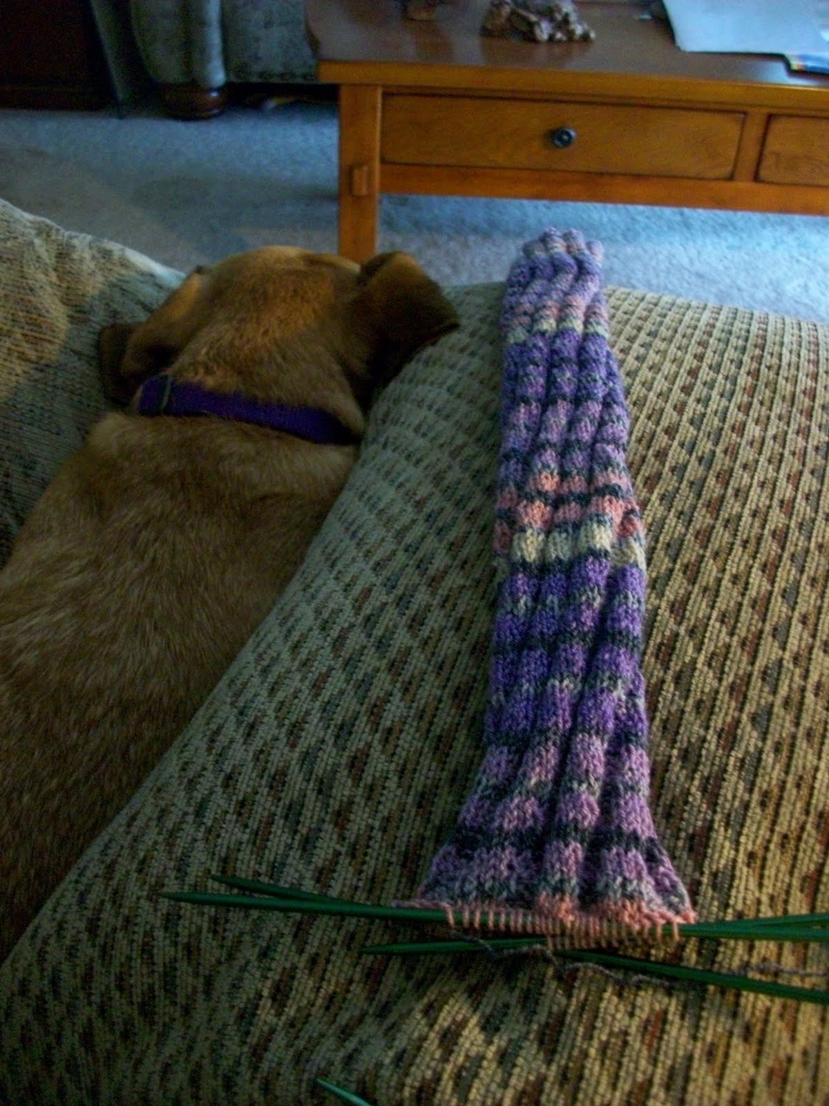 the pink sisters: Spiral Tube Socks